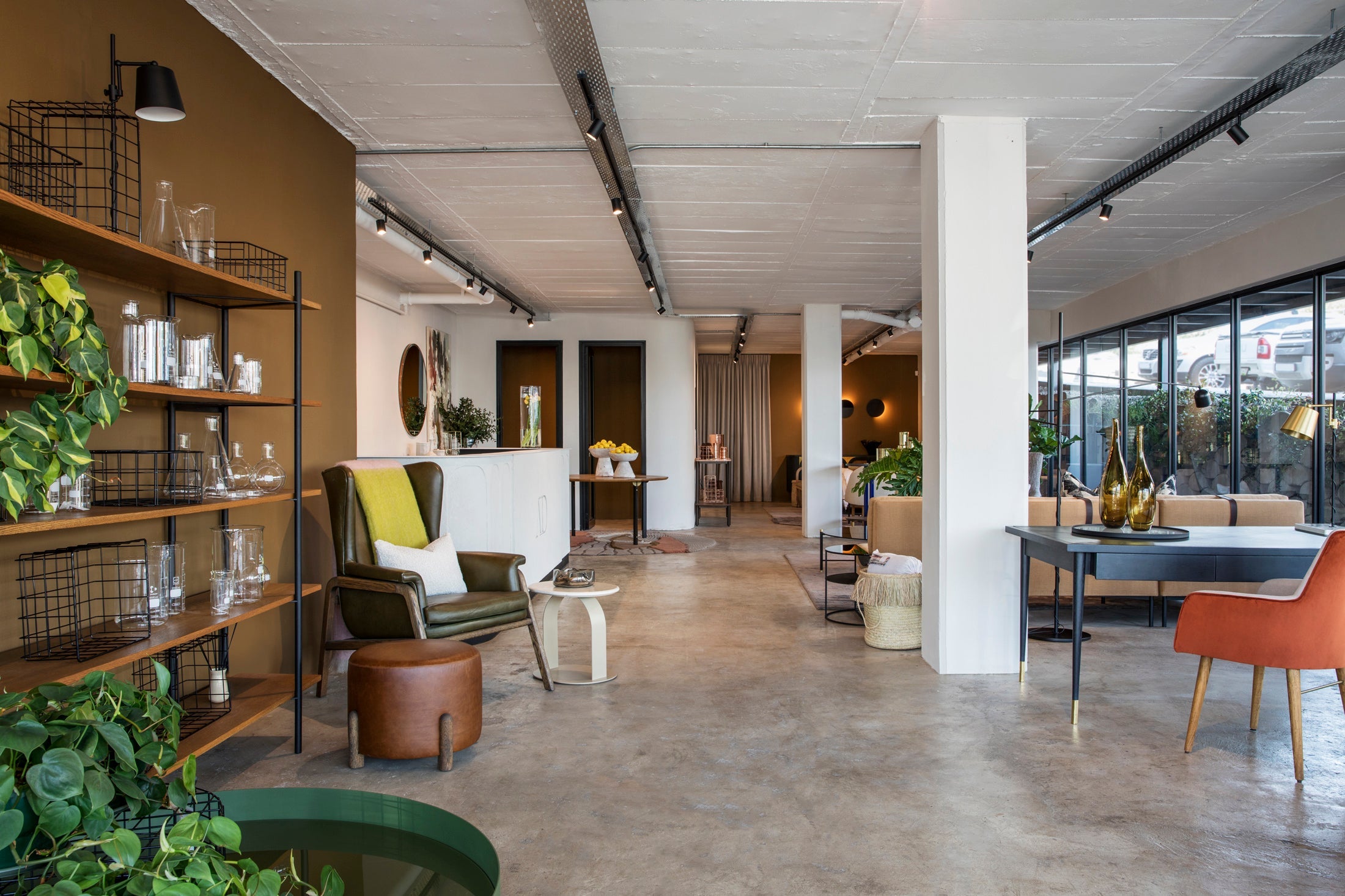 Sale – Anatomy Design