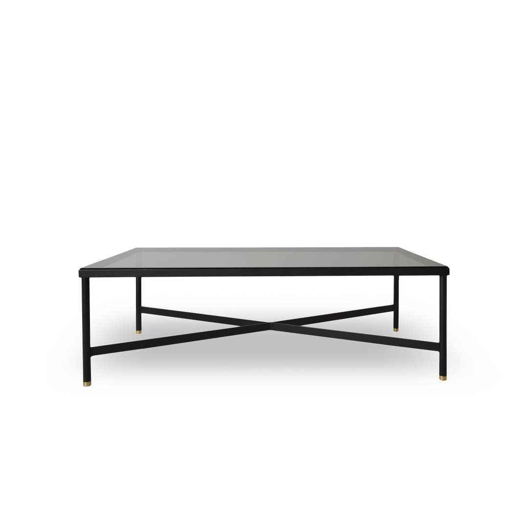 Rectangular Glass Coffee Table – Anatomy Design